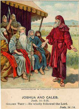 Life Issues Bible -Bible Stories - Provides Solutions for Life's Issues